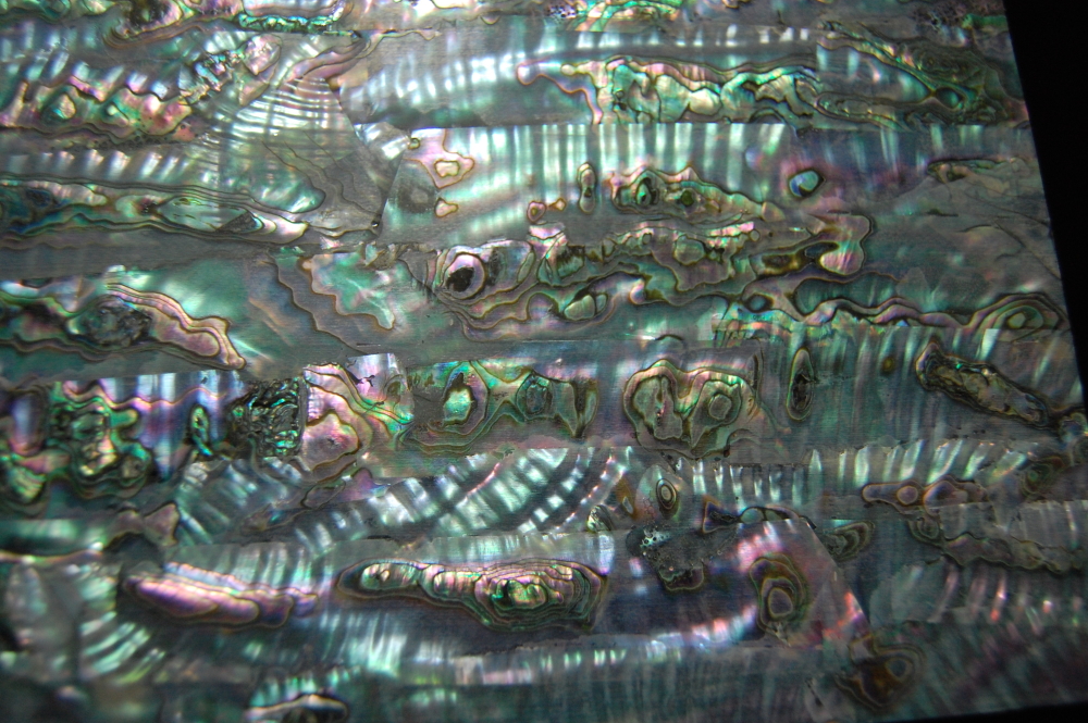 Green Abalone Enhanced Adhesive Veneer – FICCENT Shell Veneers