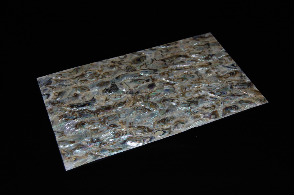Green Abalone Coated Veneer – FICCENT Shell Veneers
