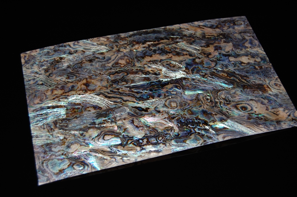 Dragon Paua Veneer – FICCENT Shell Veneers