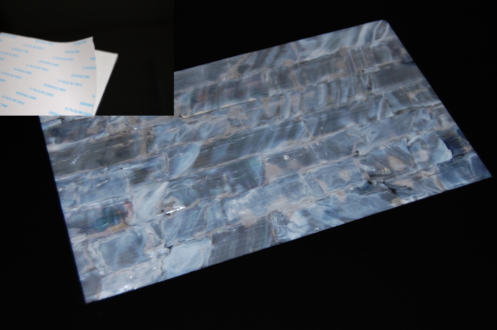 White Freshwater Shell Adhesive Veneer – FICCENT Shell Veneers